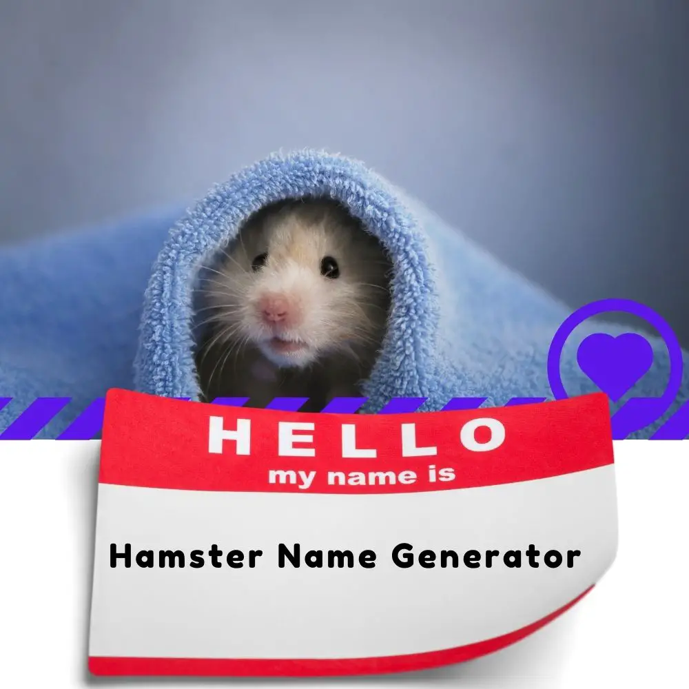 Hamster Name Generator