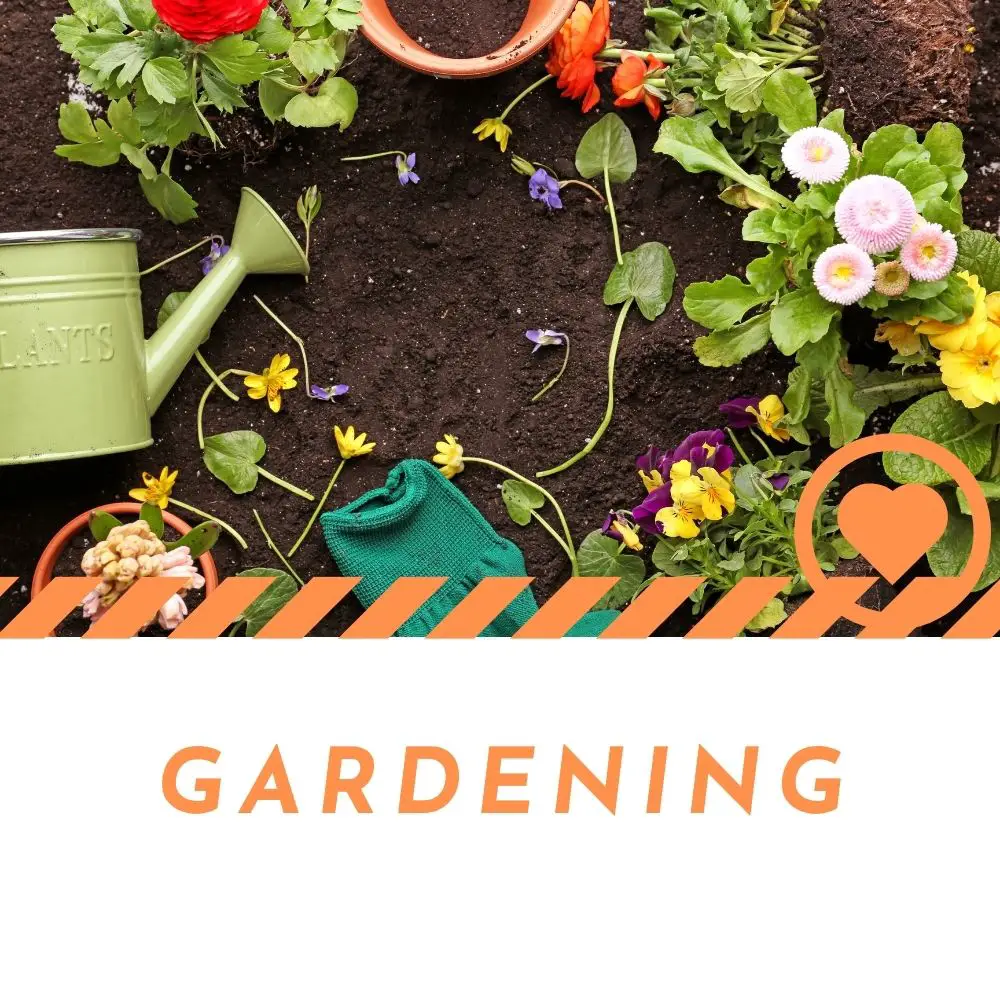 Gardening 101: Easy Get Started Guide For Beginners - I GARDENING