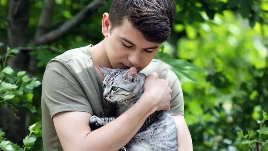 Cats as a Passion - I Love IT