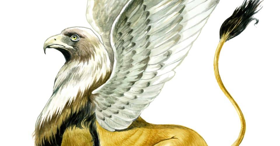 Griffins as a Passion - I Love IT