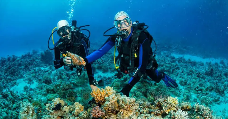 Diving: 101 [The Beginner’s Guide] - I Love IT