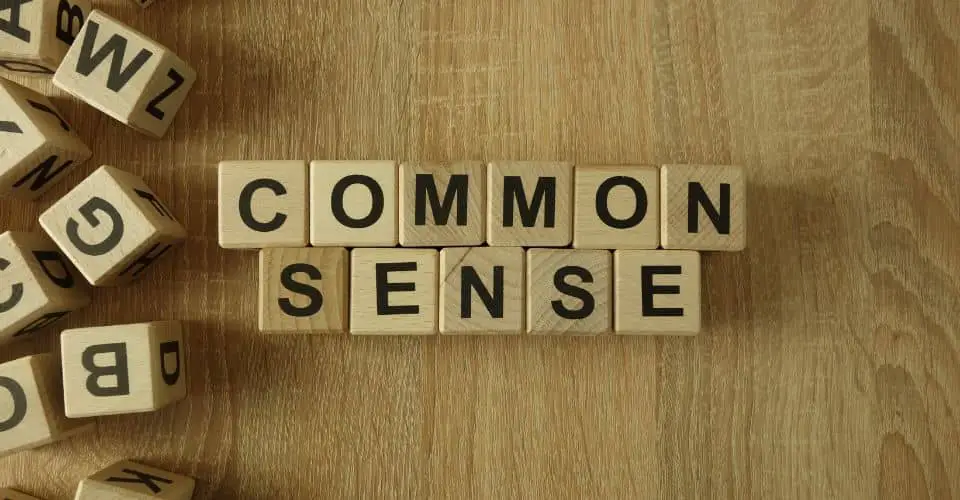 Use Your Common Sense Day (2024) - I Love IT Use Your Common Sense Day (2024) - I Love IT