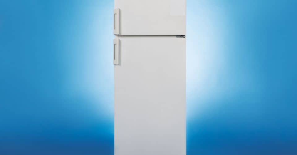 Haunted Refrigerator Night: (2025) - I Love IT