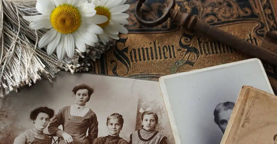 National Roots Day (2025) - I Love IT