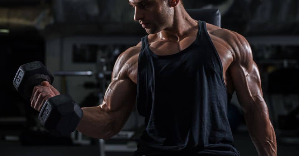 Bodybuilding: 101 [The Beginner's Guide] - I Love IT