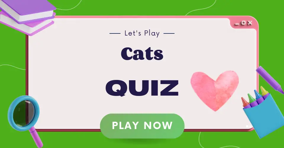 Cats Quiz - I Love IT