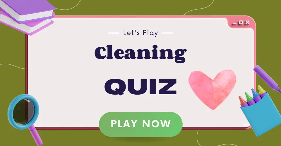 Cleaning Quiz - I Love IT