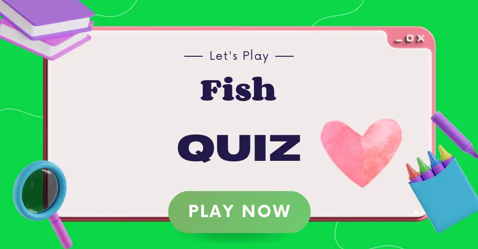 Fish Quiz - I Love IT