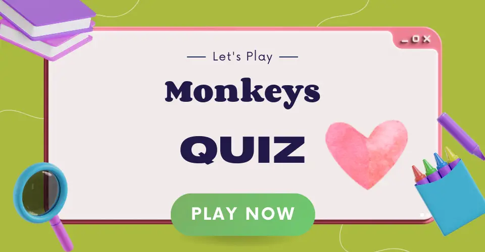 Monkeys Quiz - I Love IT