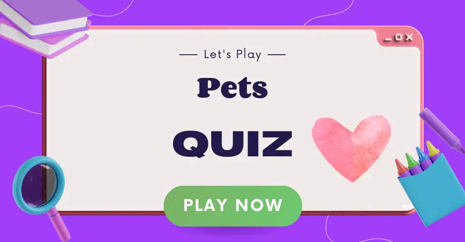 Pets Quiz - I Love IT