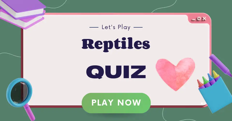 Reptiles Quiz - I Love IT