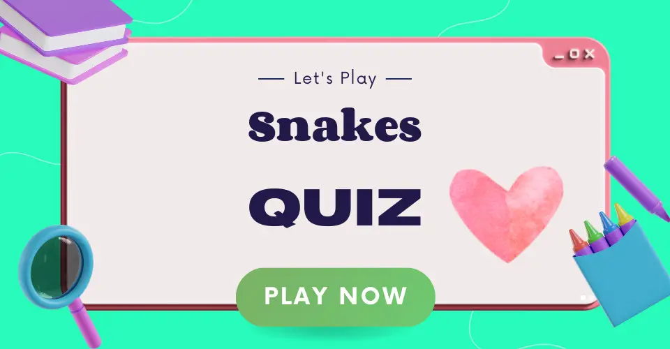 Snakes Quiz - I Love IT